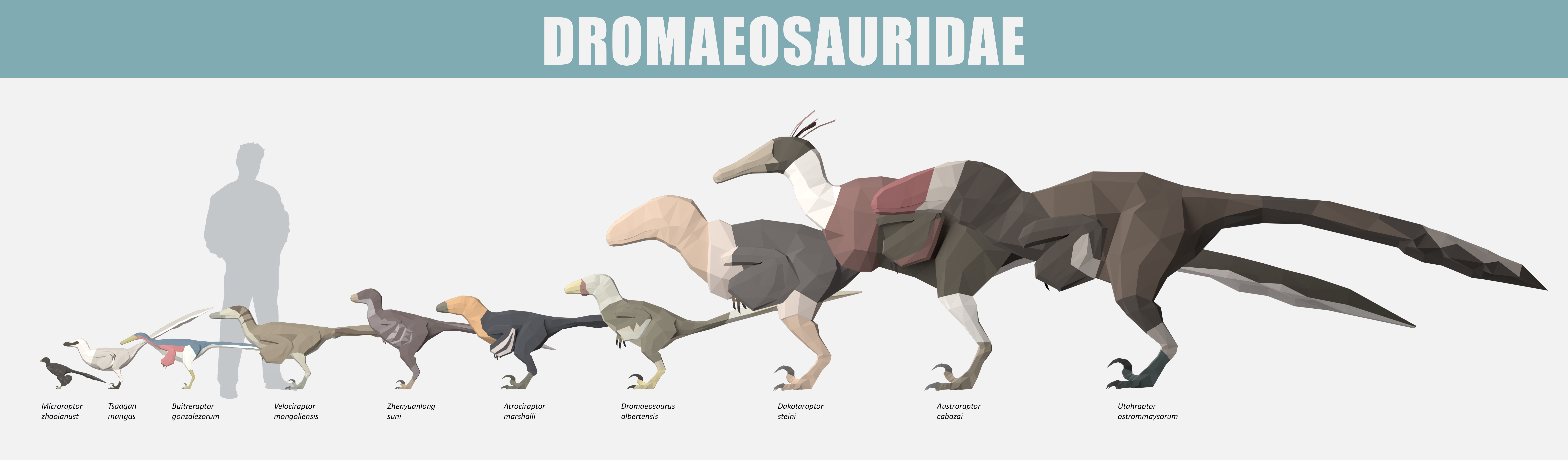 Dromaesauridae Size Comparison By Blayapapaya On DeviantArt dromaesauridae-size-comparison-by-blayapapaya-on-deviantart
