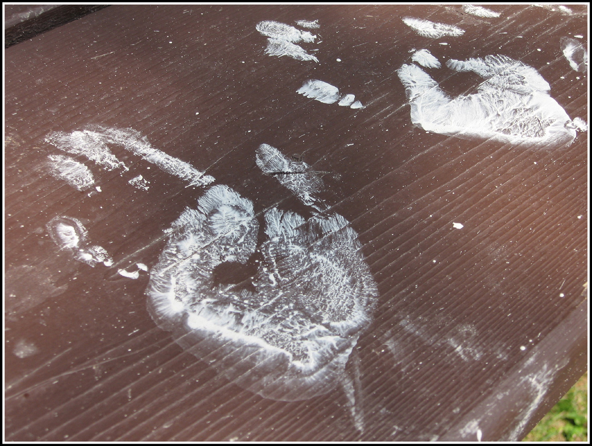 Handprints by Birdee-Blake on DeviantArt