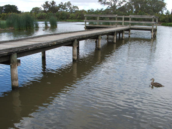 Duck Bridge by Zoro-lurva on DeviantArt