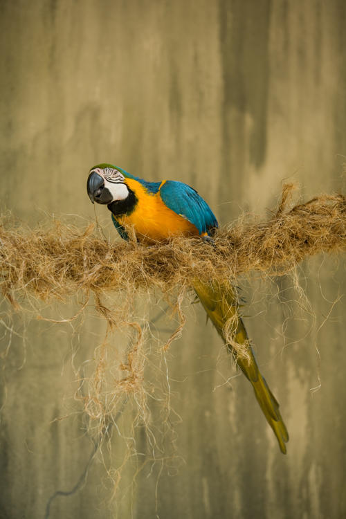 Taunting me... by Revo1ver on DeviantArt