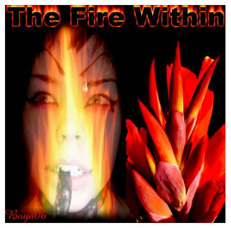 The Fire Within by outbackheaven on DeviantArt