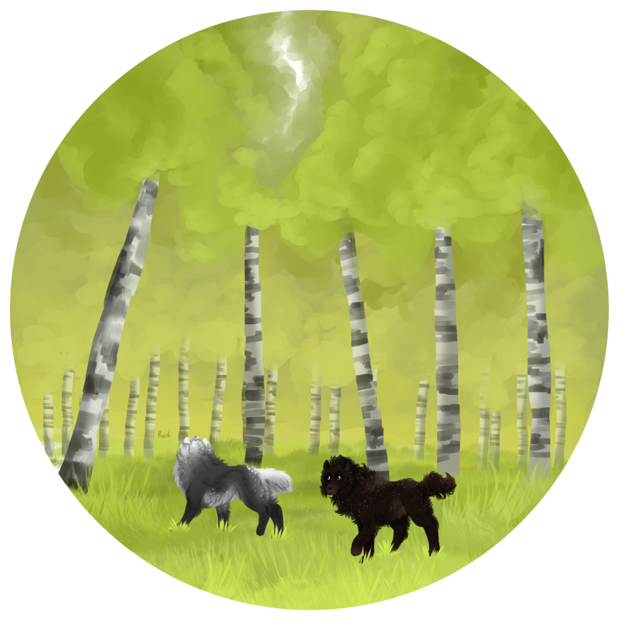 These Trees Look Like You Aer By Redriverss On Deviantart