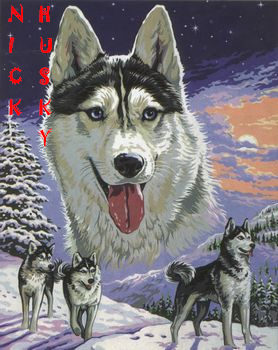 Nick Husky by Nick-The-Husky on DeviantArt