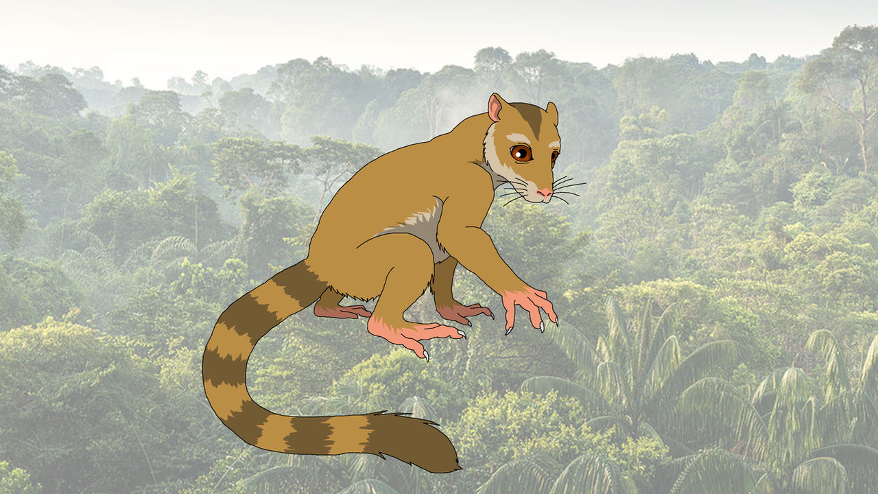 Plesiadapis By Shipputomas On Deviantart