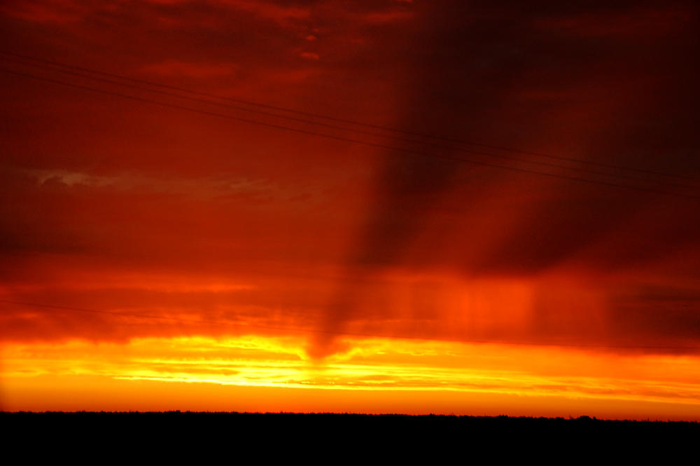 shkia ktuma by ohshrubbery on DeviantArt