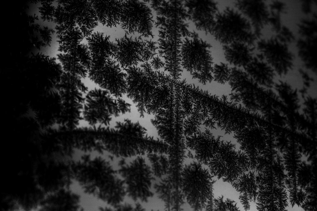 Frosted Flakes By Struggle2012 On Deviantart