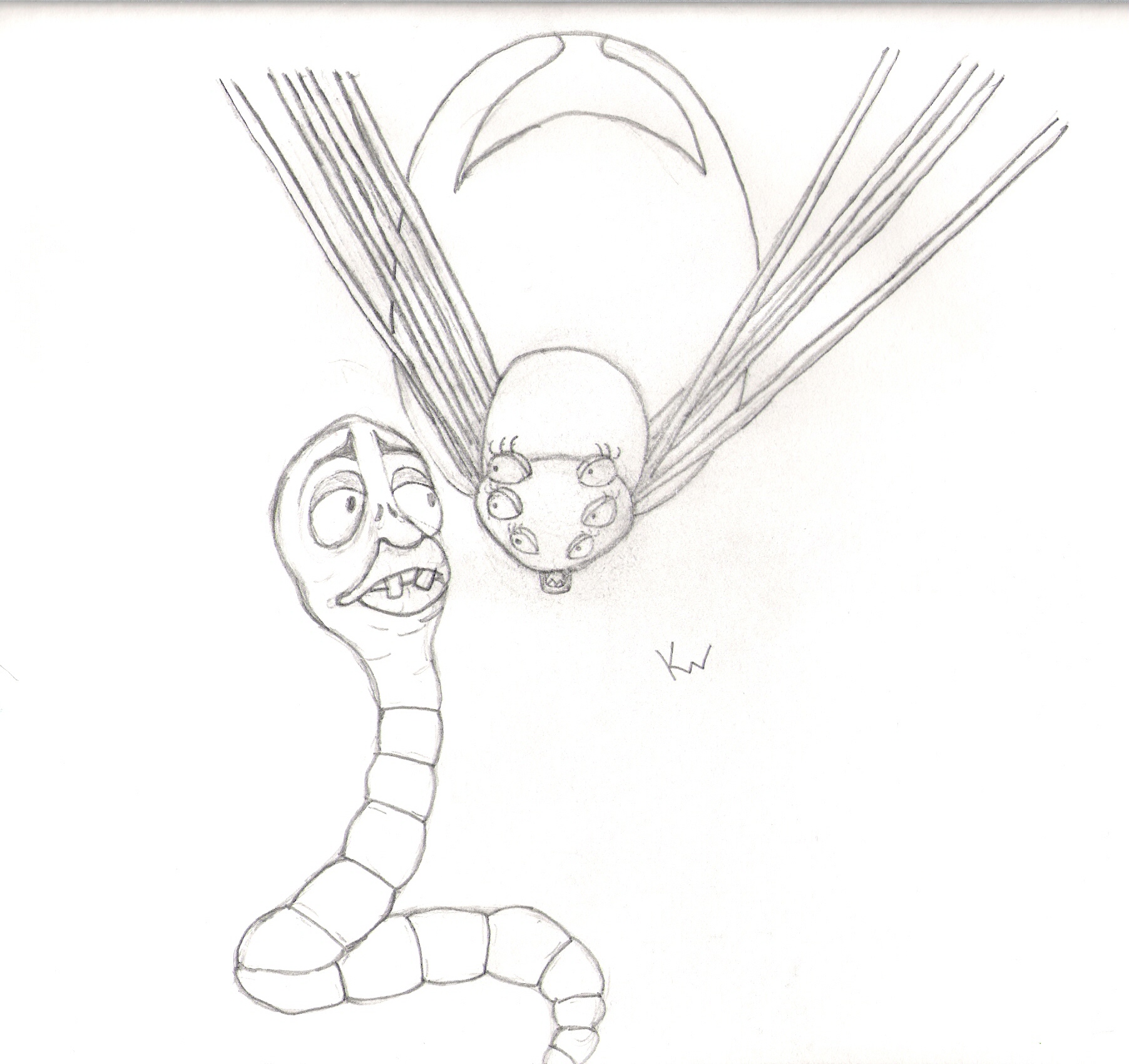 Spider and Maggot by DarkDimensions on DeviantArt