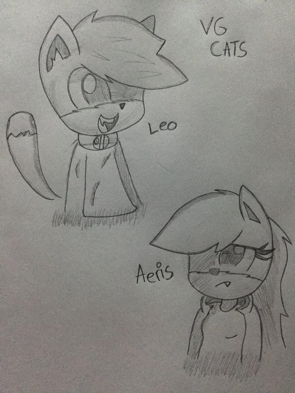 Vg Cats Leo And Aeris By Thehoodedbrony On Deviantart