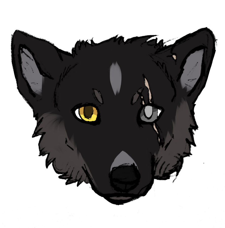 Shinu By Shinudotpng On Deviantart