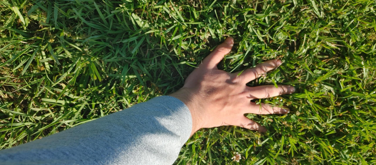Go Touch Grass By Megaspartan3456 On Deviantart