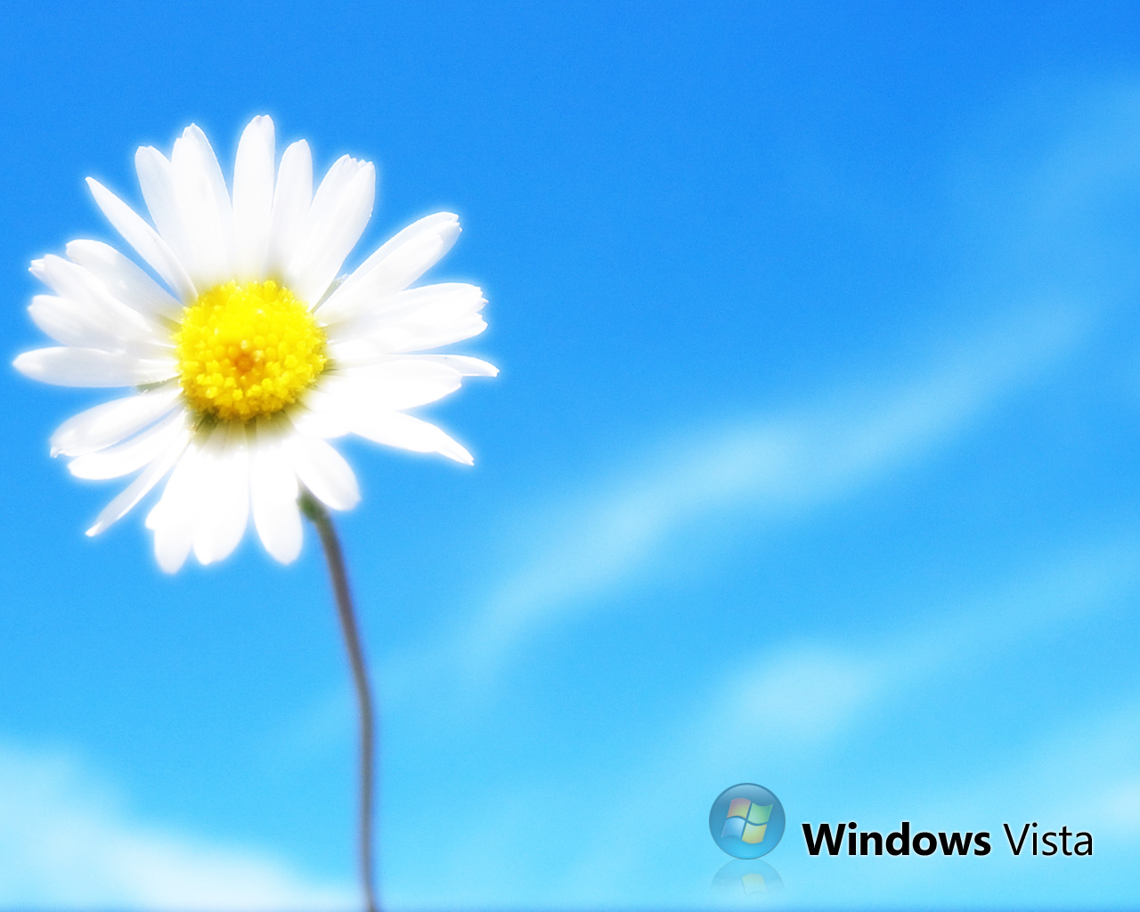 Windows Vista - Flower by SerialGFX on DeviantArt