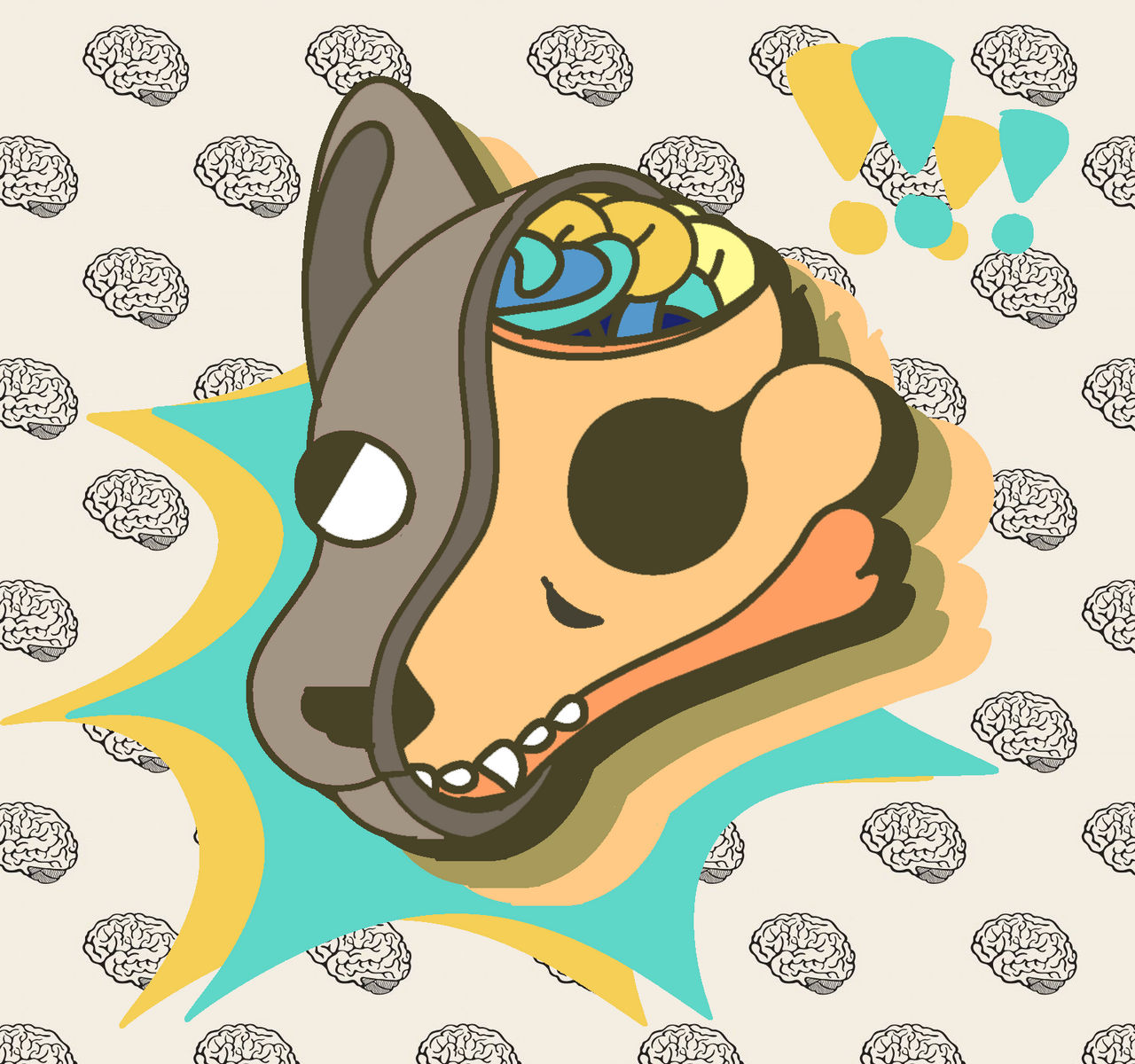Anatomy plane YCH (pls read desc) by TripForwards on DeviantArt Anatomy plane YCH (pls read desc) by TripForwards on DeviantArt