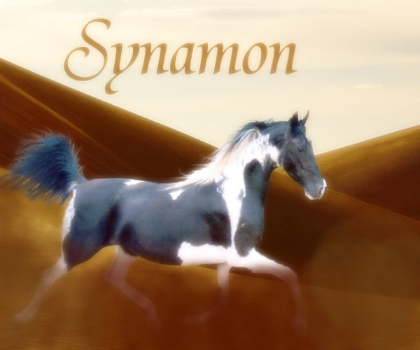 Synamon by Blizzard-Frost on DeviantArt