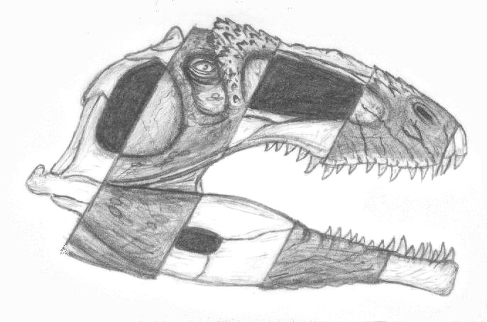 Undercovered Giganoto by maniraptora on DeviantArt