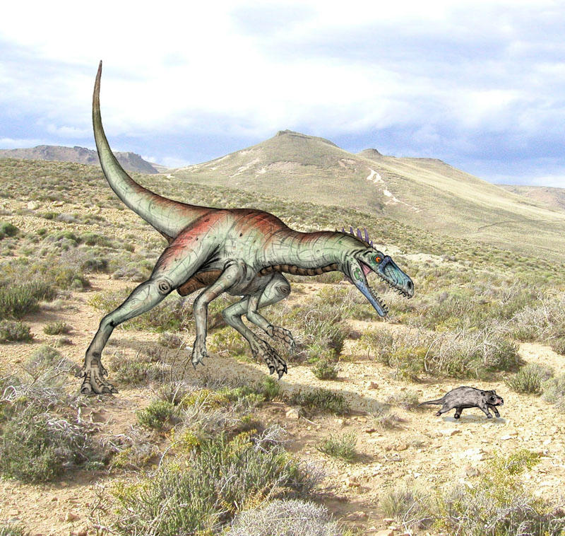 Run for your life, Cynodont by maniraptora on DeviantArt