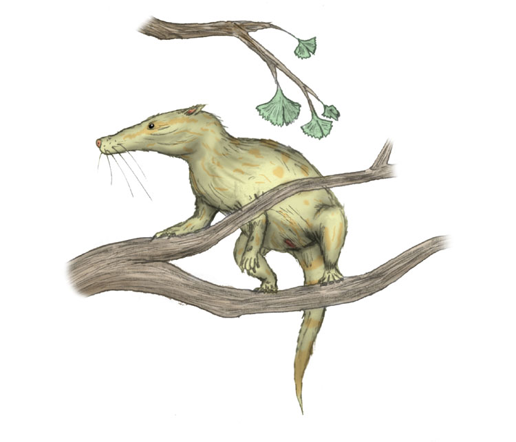 Looking from a tree by maniraptora on DeviantArt