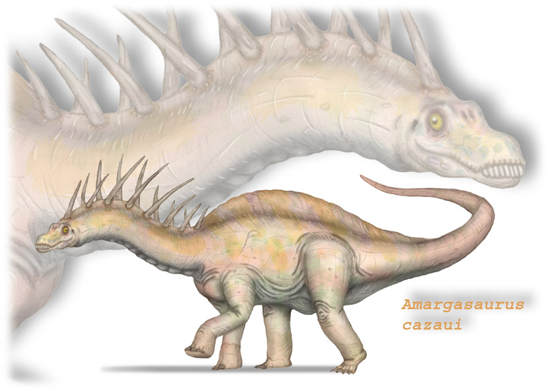 Amargasaurus ver.2 by maniraptora on DeviantArt