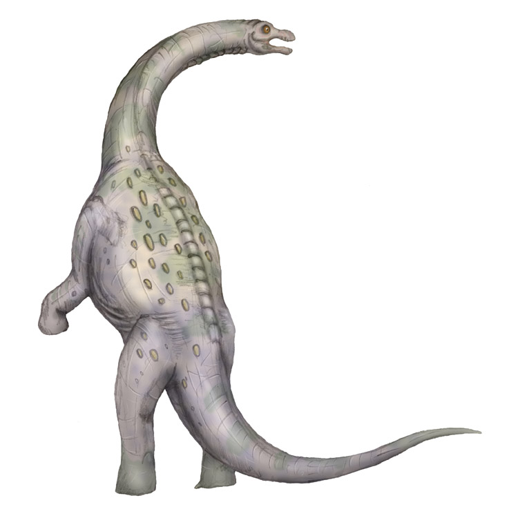 Trigonosaurus pricei by maniraptora on DeviantArt