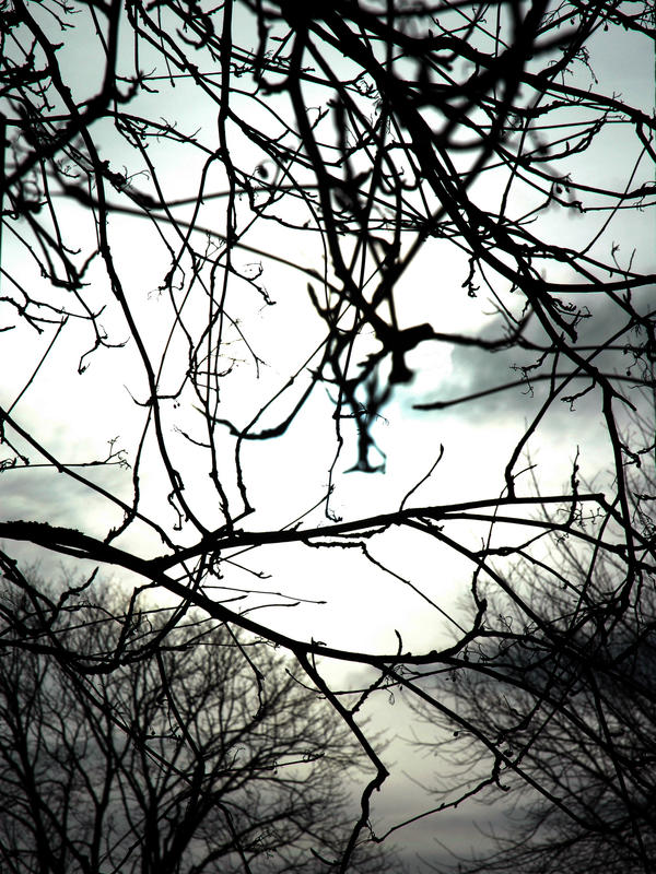 secret window by cakeshake on DeviantArt