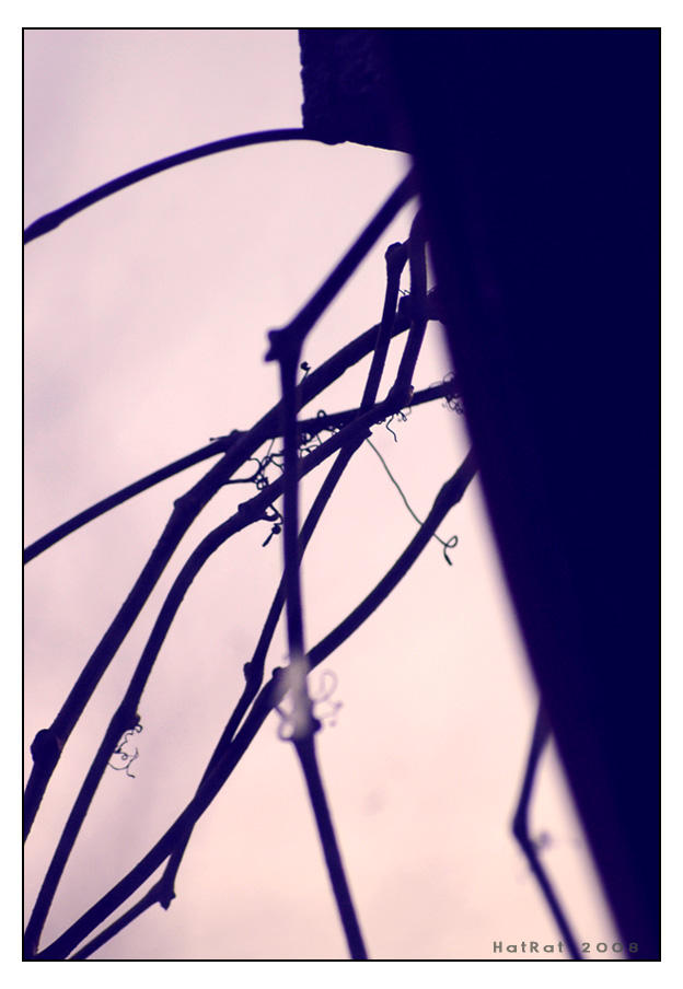 . Counting legs . by HatRat on DeviantArt . Counting legs . by HatRat on DeviantArt