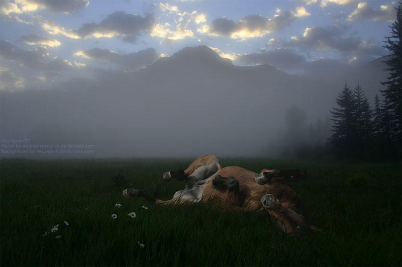 Rolli-polli by x3OxyMoron on DeviantArt