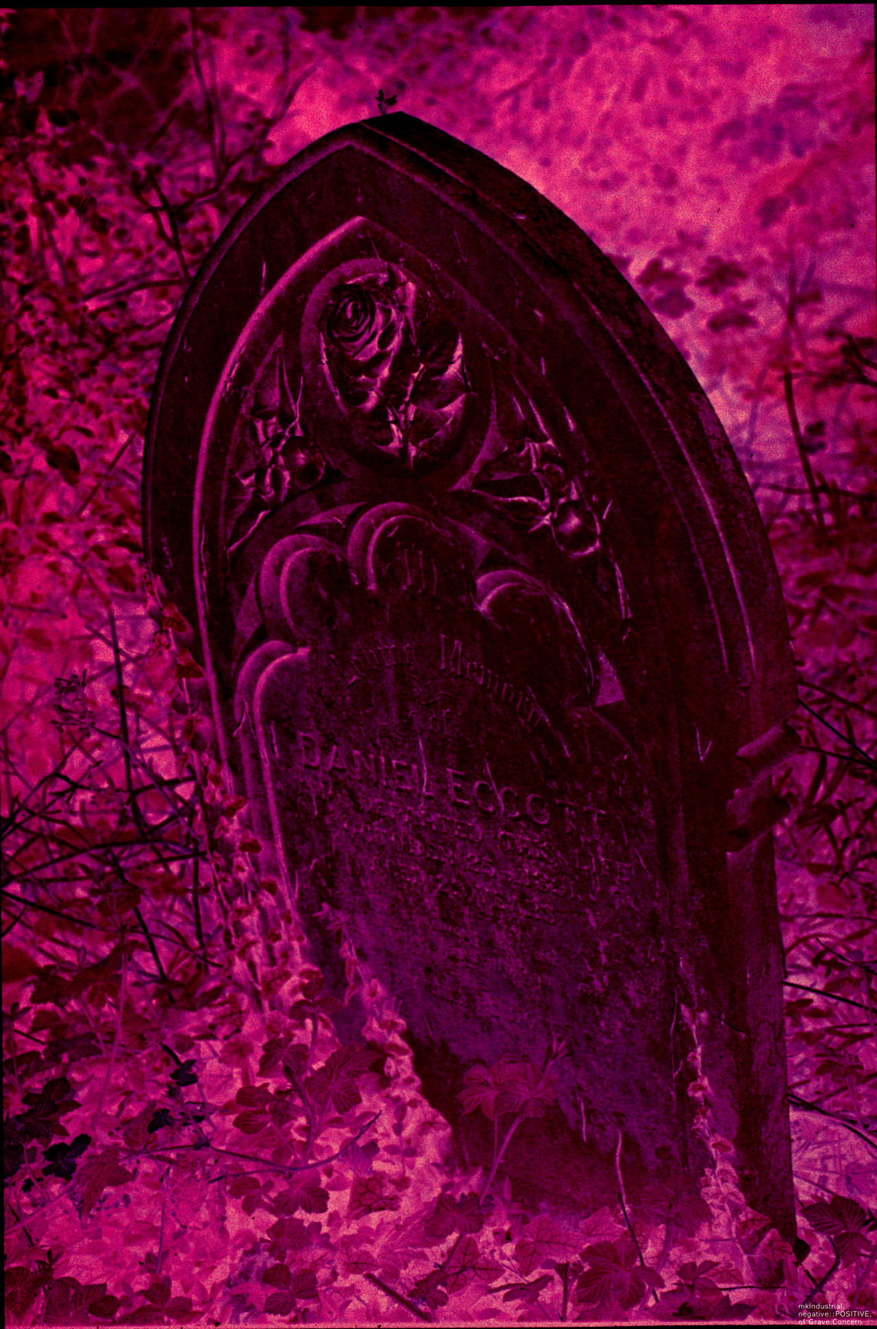 N P of Grave Concern By MkIndustrial On DeviantArt n-p-of-grave-concern-by-mkindustrial-on-deviantart