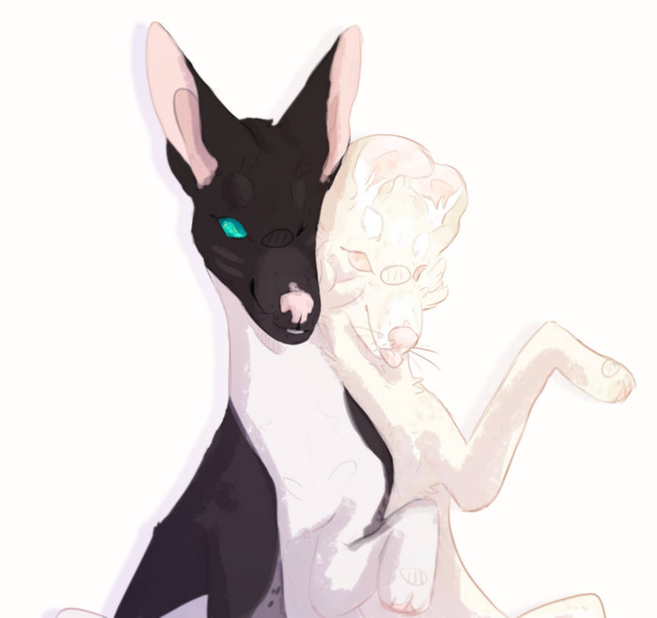 Yo By Howlheim On Deviantart