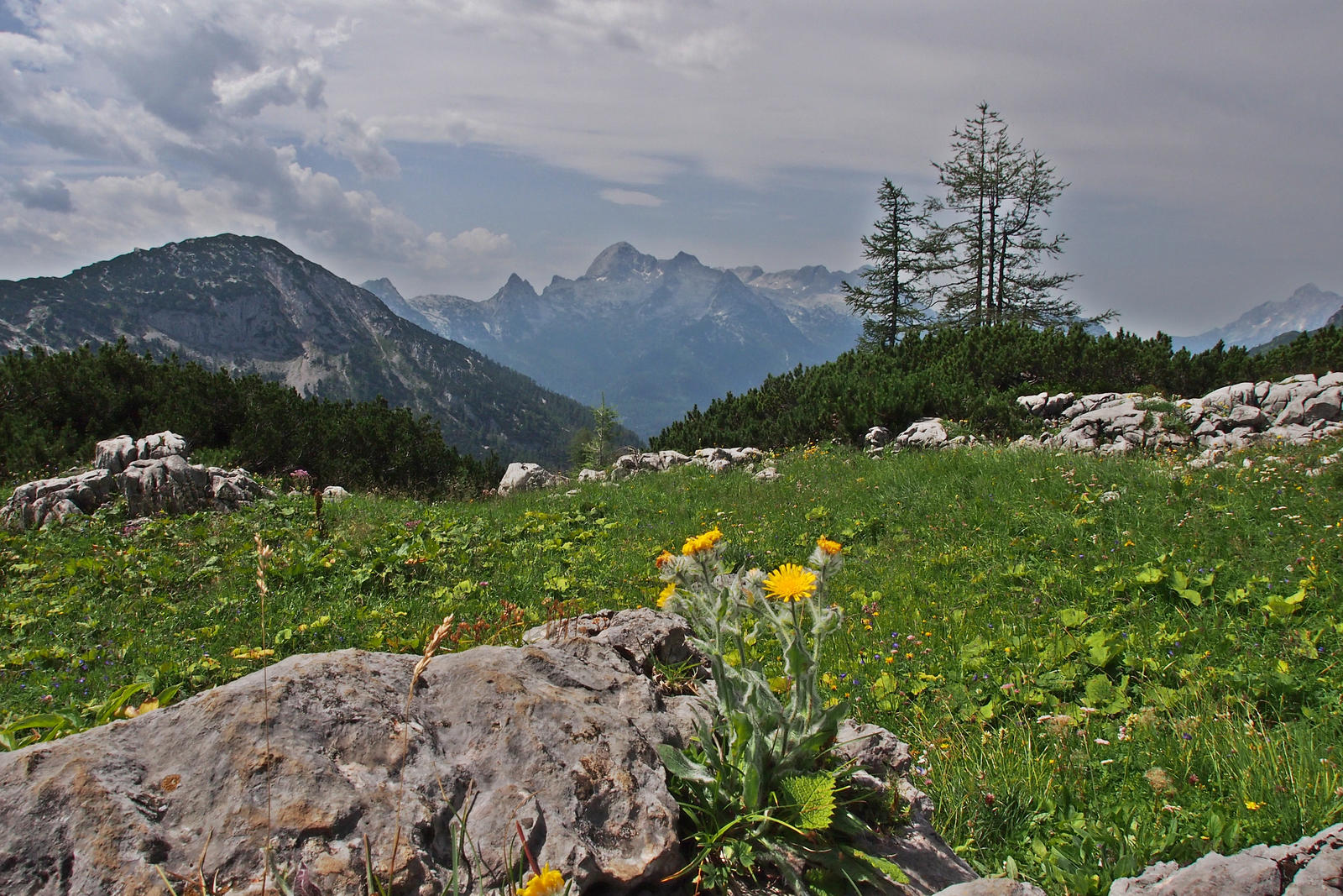Mountain Meadow By Burtn On DeviantArt mountain-meadow-by-burtn-on-deviantart