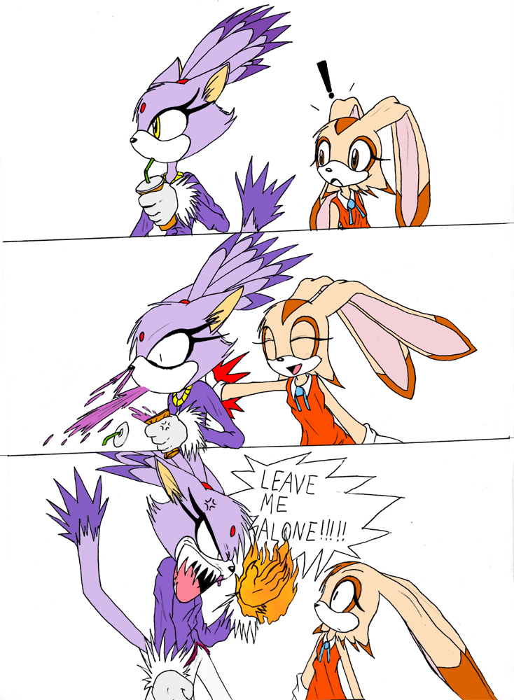 Cream likes blaze by SSEJHammer on DeviantArt