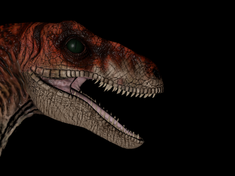 Velociraptor Red Jurassic Park 3 By Veliciraptus On Deviantart