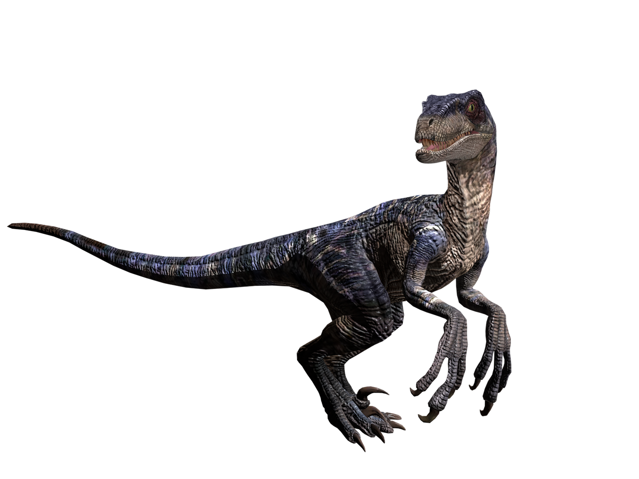 Velociraptor V3 Female Render By Groxyraptus Rex On Deviantart