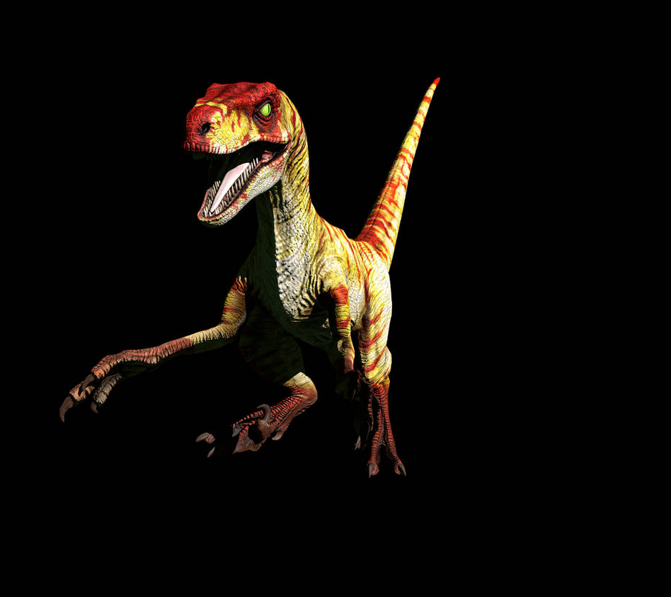 Velociraptor Of Jurassic Park Novel Attack By Veliciraptus On Deviantart
