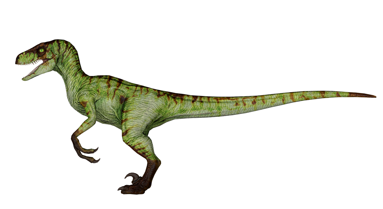 Velociraptor Male Of Jurassic Park Novel By Groxyraptus Rex On Deviantart