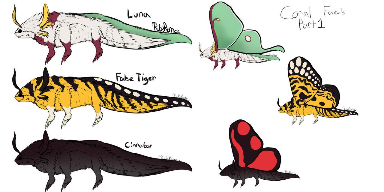 Coral Fae Patterns (Part 1) by RubyRome on DeviantArt Coral Fae Patterns (Part 1) by RubyRome on DeviantArt