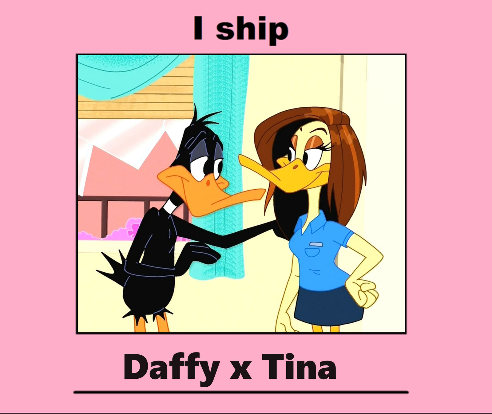 I Ship Daffy X Tina By Aaronhardy523 On Deviantart