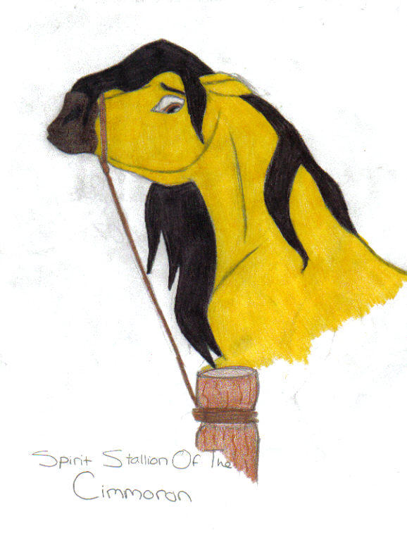 Spirit Colored Version by AnimainiaHorse12 on DeviantArt