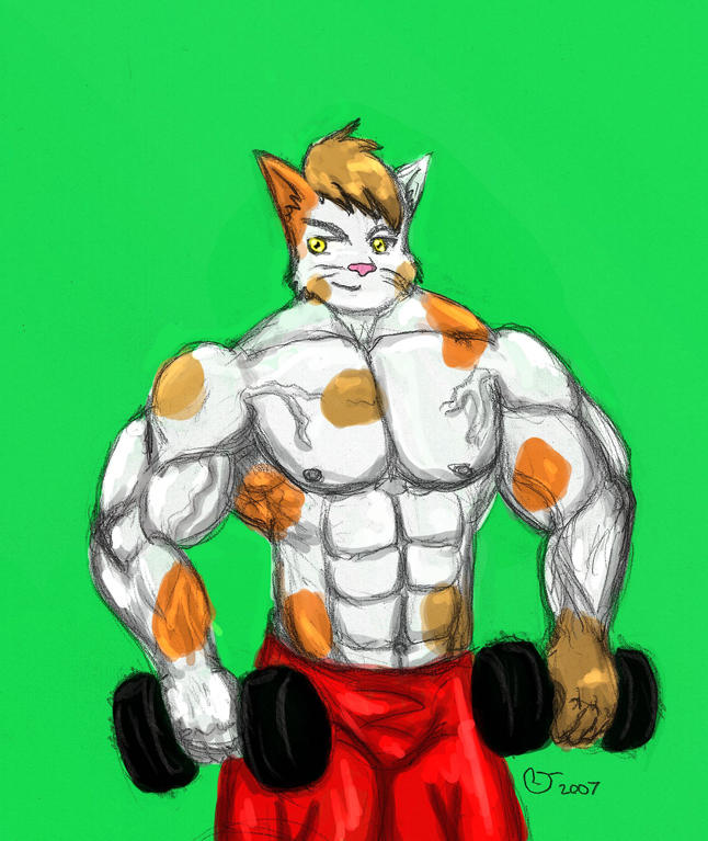 Muscle Cat Guy by CaseyLJones on DeviantArt