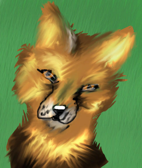 Realistic fox fail XD by Little-Loxi13 on DeviantArt Realistic fox fail XD by Little-Loxi13 on DeviantArt