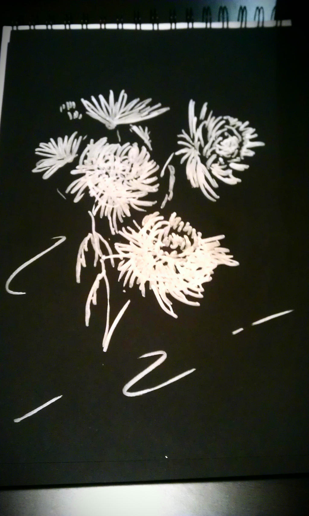 More White Flowers By Pinkpantherra On Deviantart