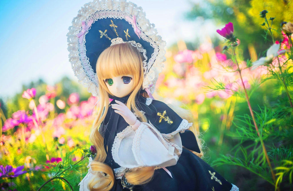 Lady Ball Joint Doll By Himeogi On Deviantart