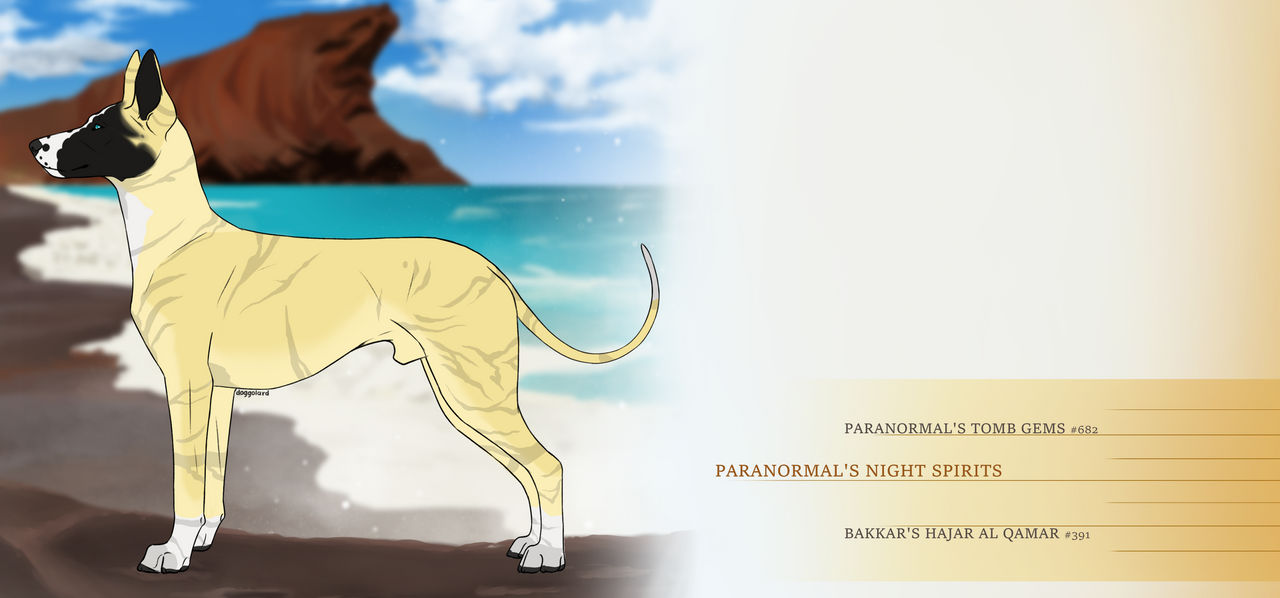 DARPG | Paranormal's Night Spirits by Vocalix on DeviantArt DARPG | Paranormal's Night Spirits by Vocalix on DeviantArt