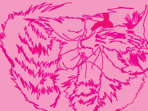 Pinky Kitty by RainbowStarCat on DeviantArt