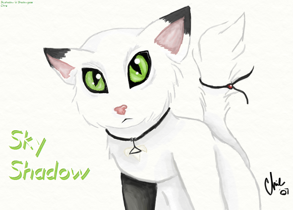 Skyshadow by Shadowgaze on DeviantArt