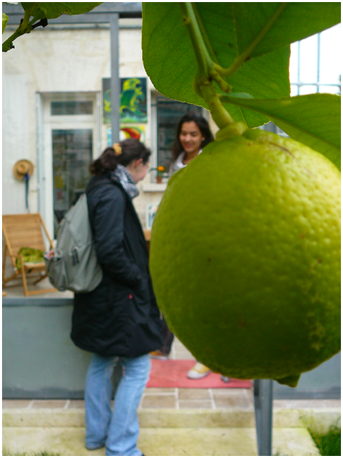 Monsieur Citron. 2 by choubidouwa on DeviantArt