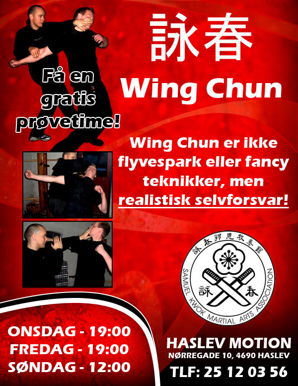 Wing Chun flyer by viontro on DeviantArt