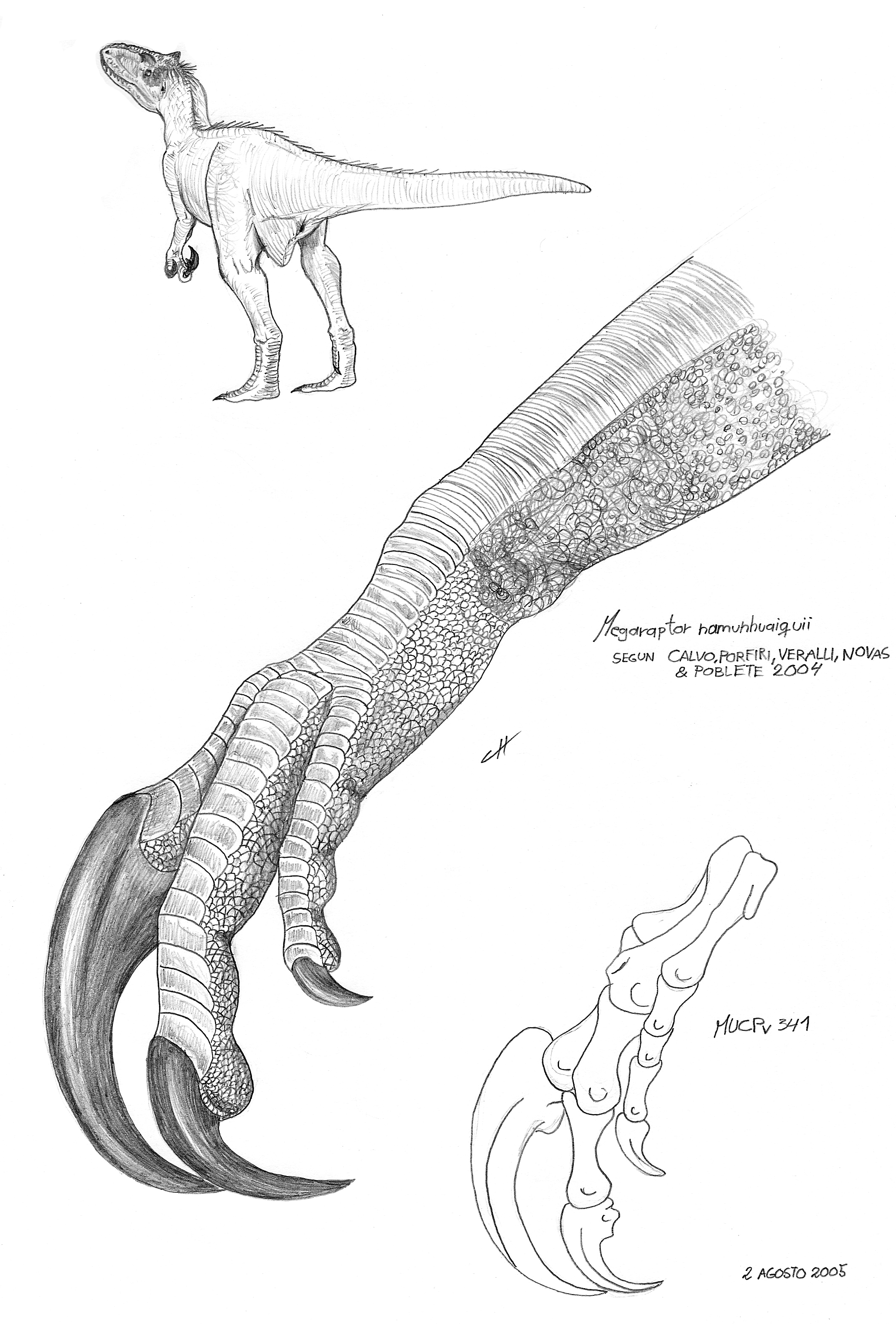 New Megaraptor by PaleoAeolos on DeviantArt