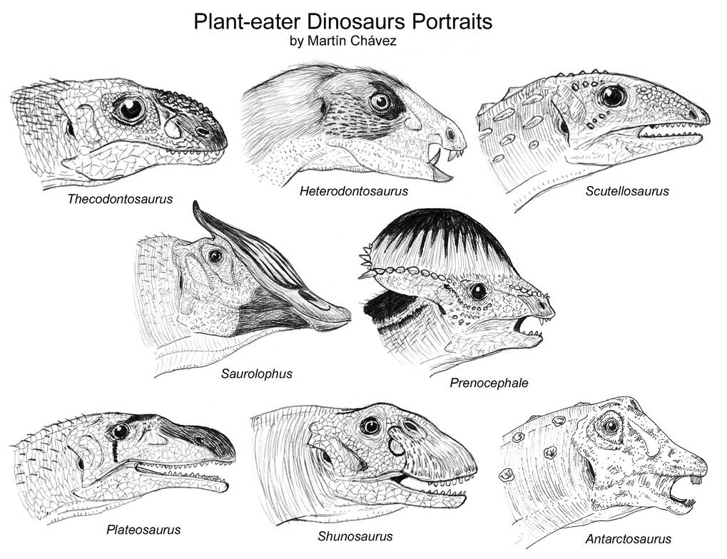 Plant-eater Dinosaurs Portrait by PaleoAeolos on DeviantArt