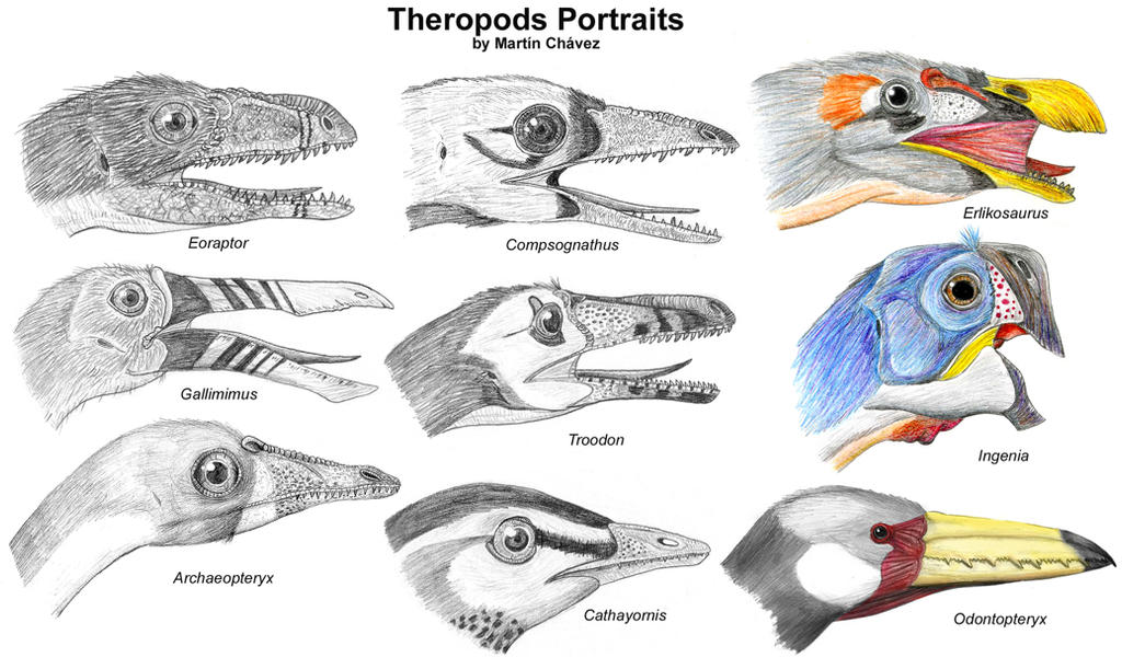 Theropods Portraits by PaleoAeolos on DeviantArt