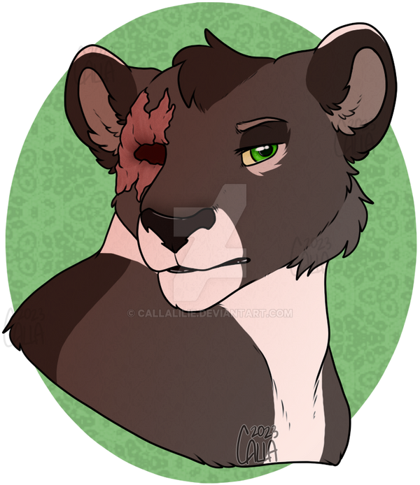 One Eyed Queen By Callalilie On Deviantart