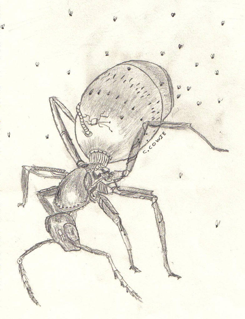 iron ant by stormdetonation on DeviantArt